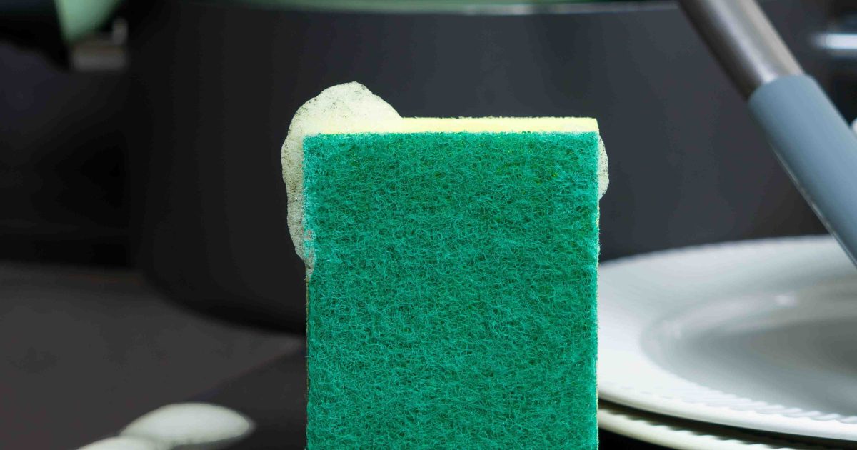 Guía de esponja Magitel: usos en cada espacio del hogar |… - Magitel®